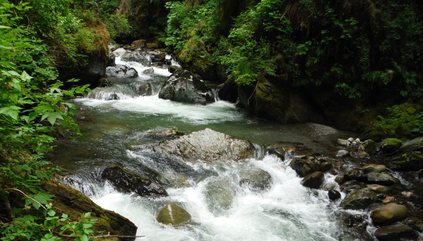 Streamflow Monitoring - Nooksack Indian Tribe
