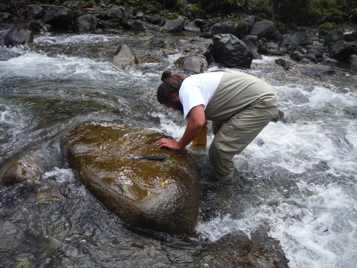 Stream Temperature Monitoring - Nooksack Indian Tribe