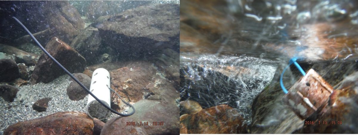 Stream Temperature Monitoring - Nooksack Indian Tribe