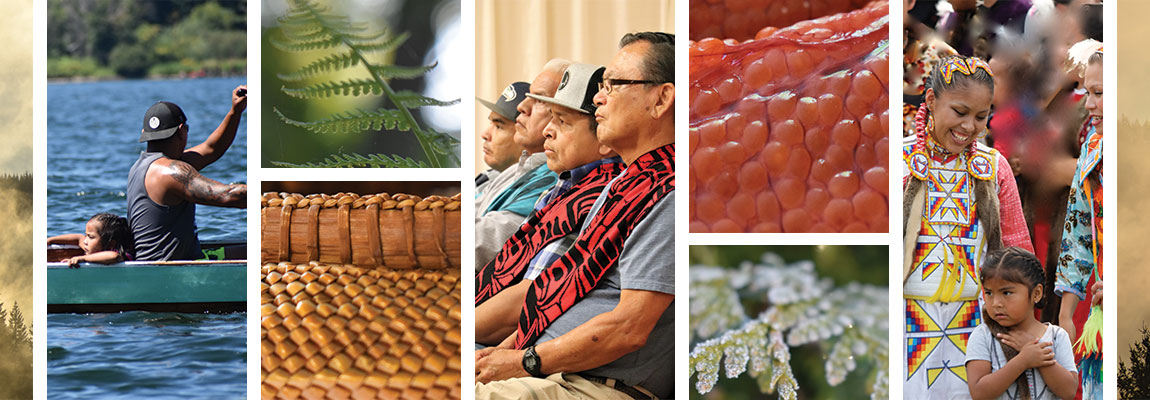 Home - Nooksack Indian Tribe